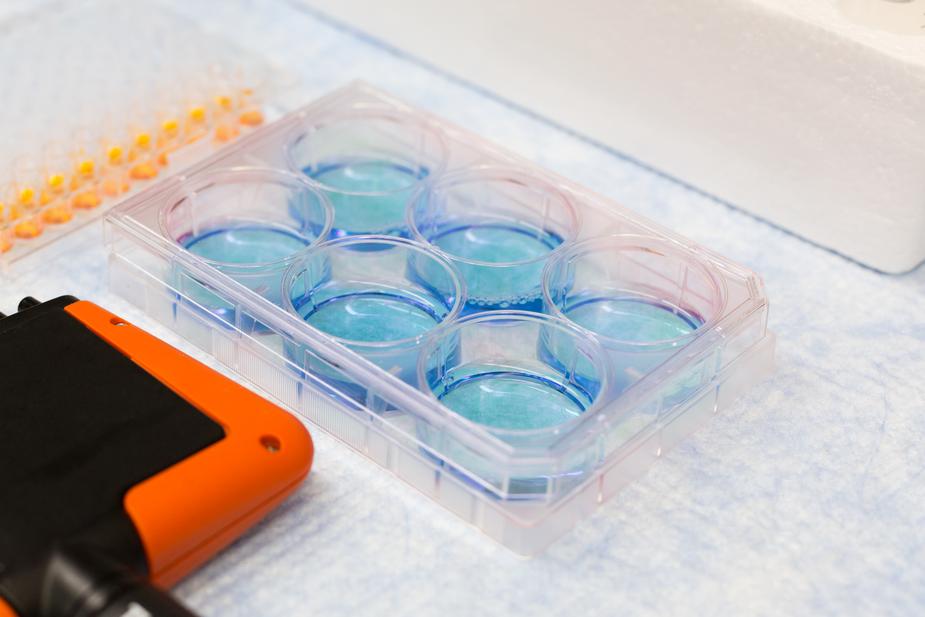 AVROBIO, Inc. Announces FDA Clearance of Investigational New Drug ...